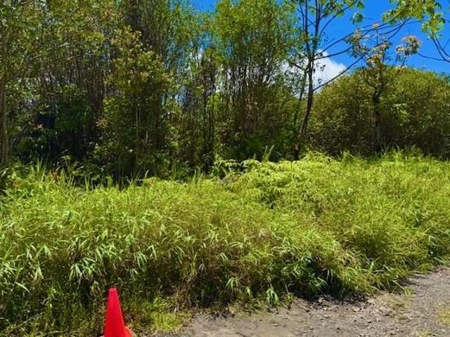 16 1495 Io Kea Rd, Kurtistown, HI 96760