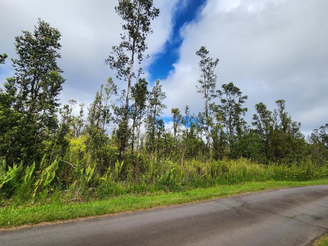 16 1793 Lot 2508 Road 1, Mountain View, HI 96771 | MLS #723193