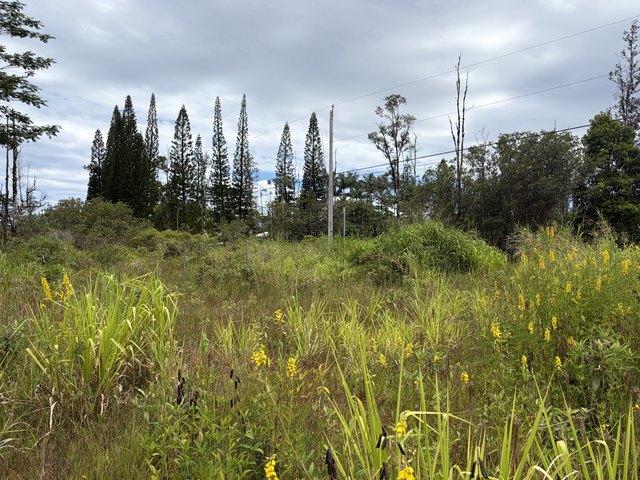 16 188 th Ave, Kurtistown, HI 96760