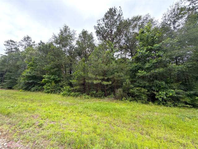 16 1 Texas Grand Road