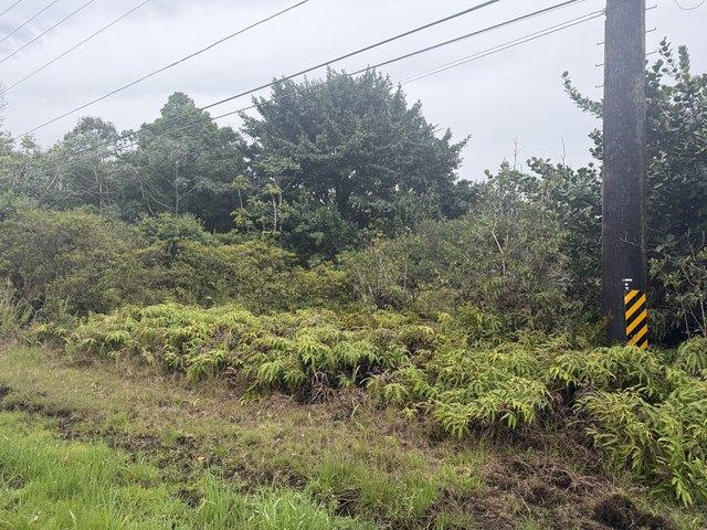16 2078 Keaau Pahoa Rd, Pahoa, HI 96778