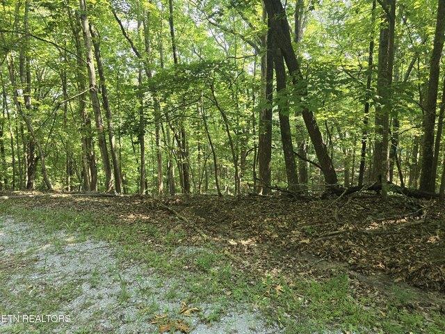 16 Trentwood Ter, Crossville, TN 38558