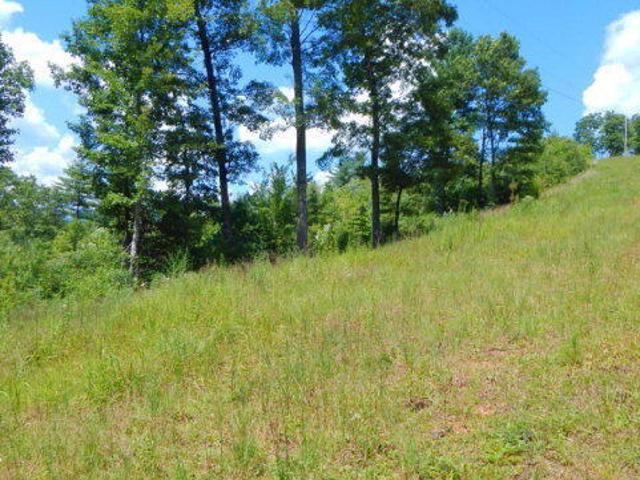 16 Tyler Ridge # 16