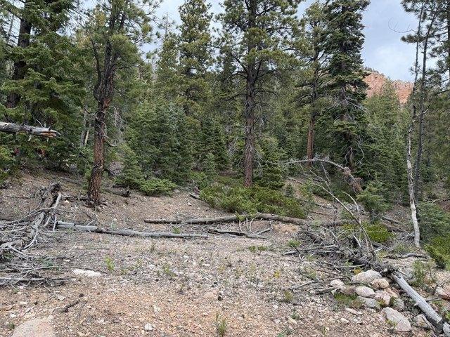 16 W Bitterberry Cir, Duck Creek Village, UT 84762