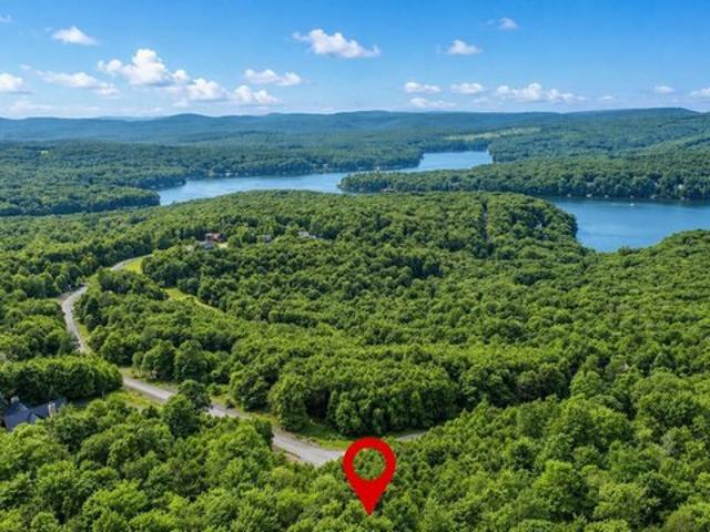 16 Woodlands Hill Ct, Oakland, MD 21550