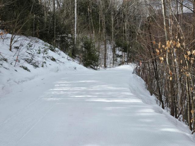 16 Yellow Birch Circle