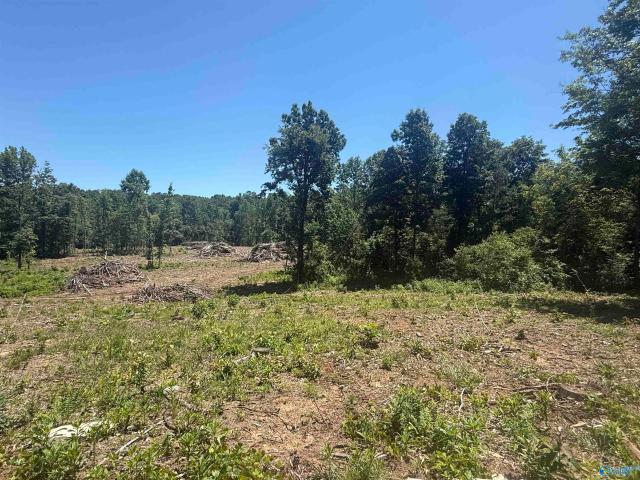 16 AC Bishop Mountain Road