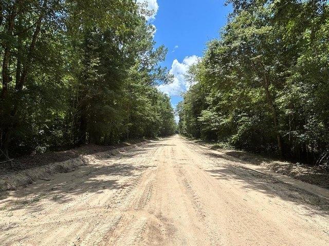 16 Ac Rammer Loop, Cottonwood, AL 36301