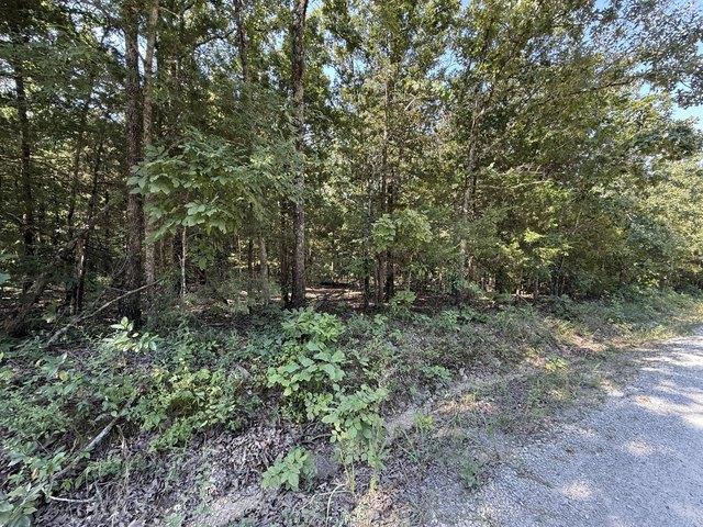 16 Ac Spring Valley Rd, Shell Knob, MO 65747