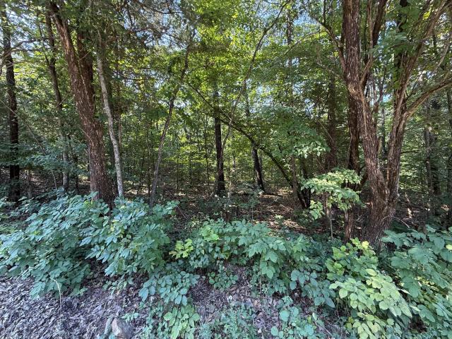 16 + Ac Spring Valley Road