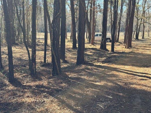16 Ac Steede Rd, Montgomery, TX 77356