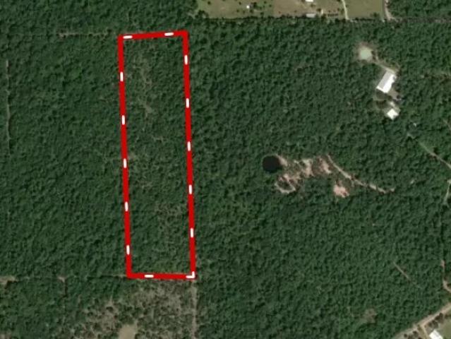 16 ac Steede Rd, Montgomery, TX 77356 | MLS #90008 | Compass