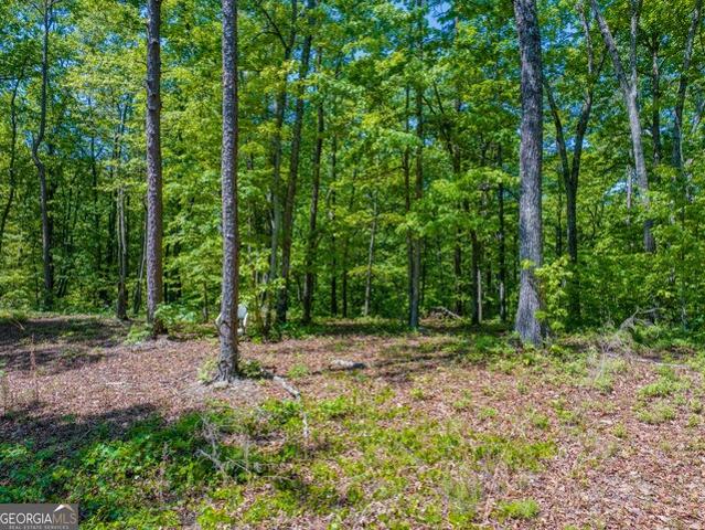 16 Acres Gun Club Rd, Buchanan, GA 30113