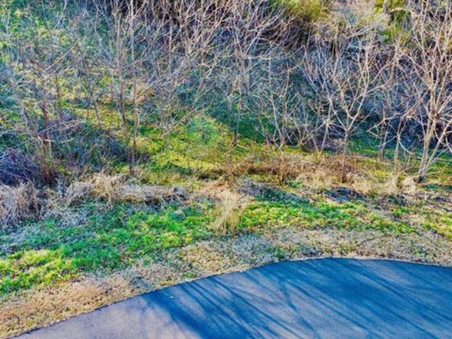 16 Anns Way, Blairsville, GA 30512