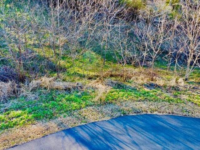 16 Anns Way Lot 16, Blairsville, GA 30512