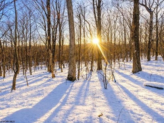 16 Ash Swiss Section Ct Lot 16, Terra Alta, WV 26764