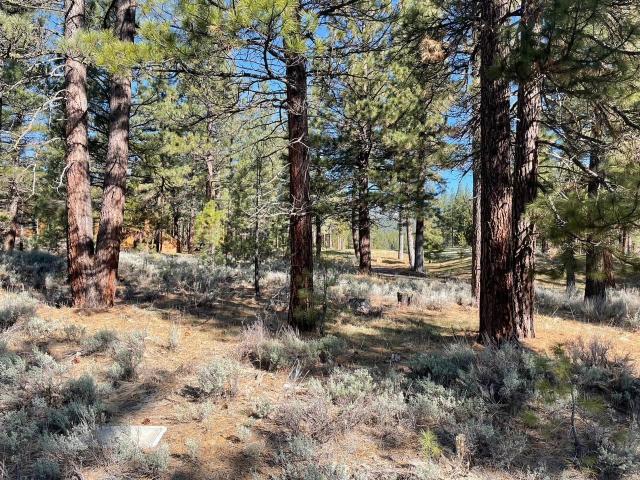 16 Big Grizzly, Portola, CA 96122 | MLS #20250