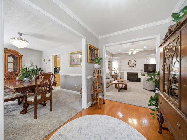 16 Catalina Lane