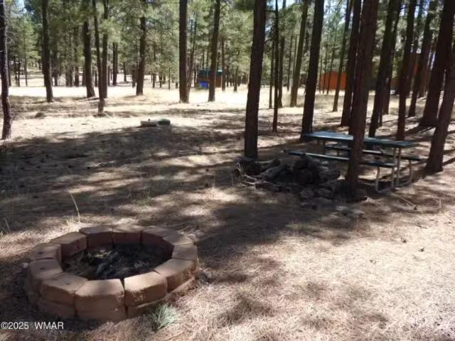16 COUNTY ROAD 2087, ALPINE, AZ 85920 Vacant Land For Sale ML.