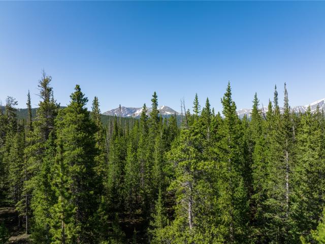 16 Cumberland Dr, Breckenridge, CO 80424 | MLS #S1051
