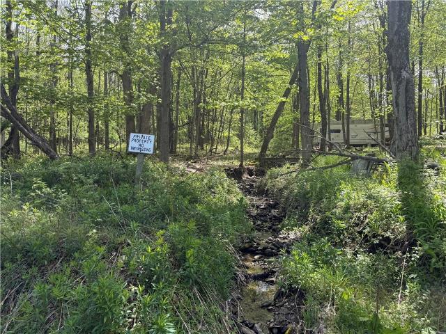 16 Deer Pond