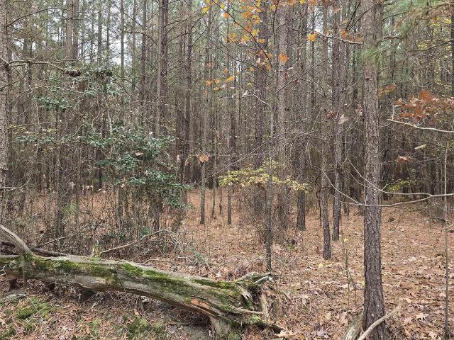 16 Evergreen Dr, Unit 16, Colonial Beach, VA 22443 | MLS #671359