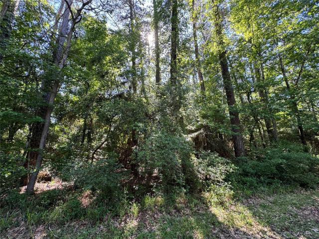 16 Forrest Hollow