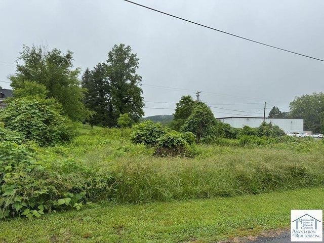 16 Frye Street, Bassett, VA 24055