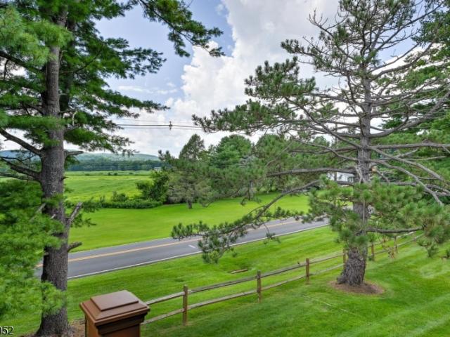 16 Great Horned Owl Ct