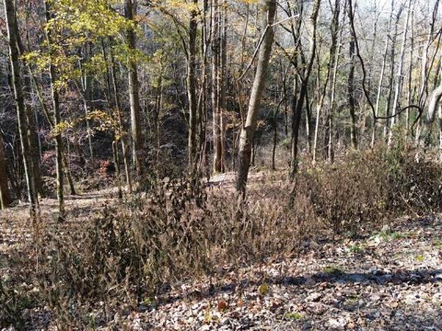 16 Lake Vw, Smithville, TN 37166