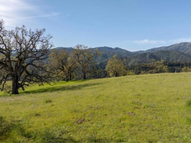 16 Long Ridge Trail Lot 233