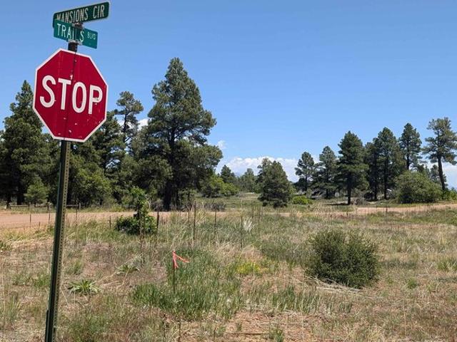 16 Mansions Cir, Pagosa Springs, CO 81147