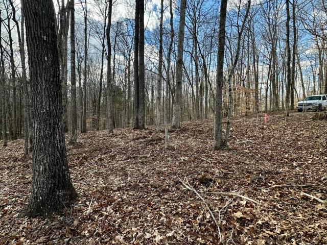 16 Malone Ridge Road # 16