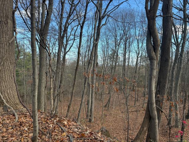 16 Morningcrest Dr, West Hartford, CT 06117 | MLS #24141 | Compass