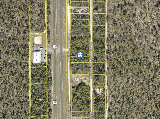 16 Necklace Warbler Ave, Weeki Wachee, FL 34614 | MLS #W7881