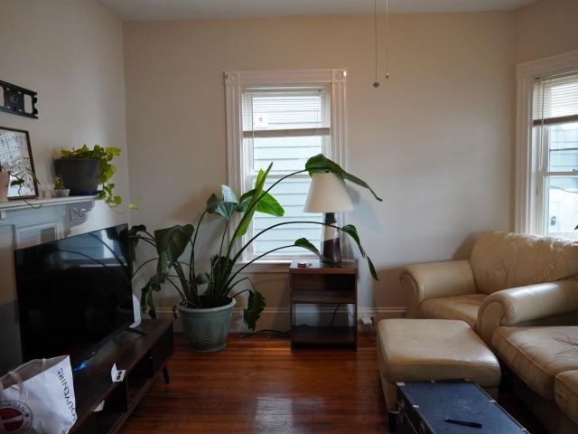 16 Norwood St