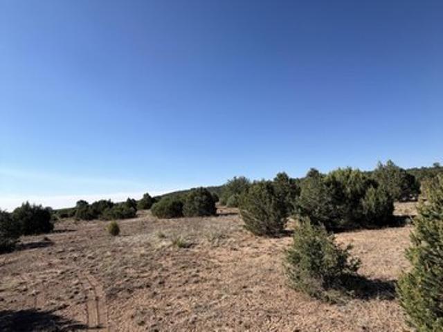 16 Of Augustine Drive Trl NE # A1, Tijeras, NM 87059