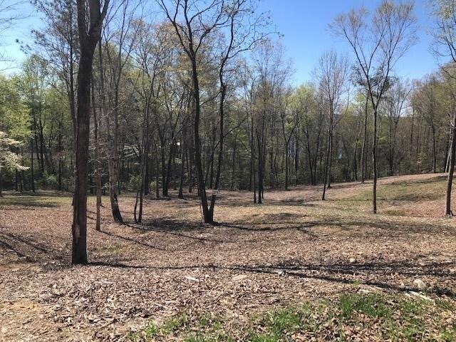 16 Piney View Dr, Spring City, TN 37381