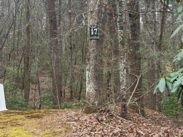 16 R Leatherwood Mountain Rd, Cherry Log, GA 30522 | MLS #425303