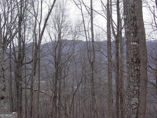 16 Roaring Ridge
