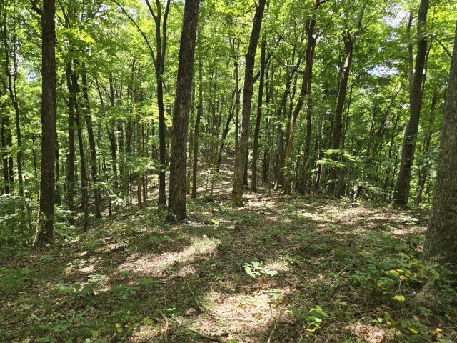 16 Seals Hollow Rd