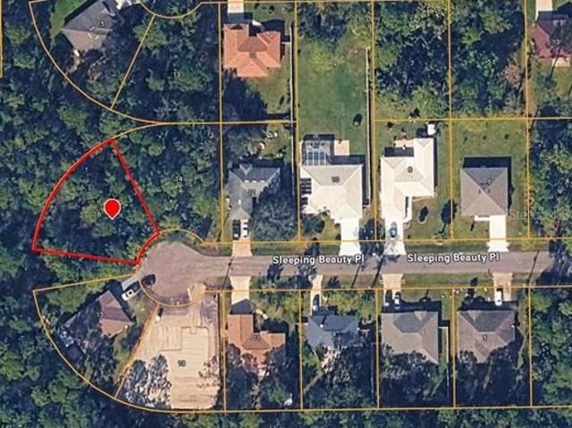 16 Sleeping Beauty Pl, Palm Coast, FL 32164