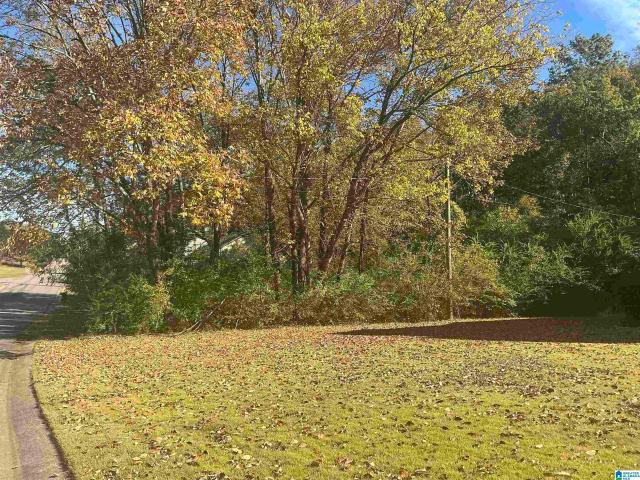 1704 Creely Drive # 16