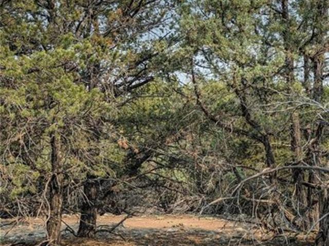 1704 Willow Creek Way, Crestone, CO 81131