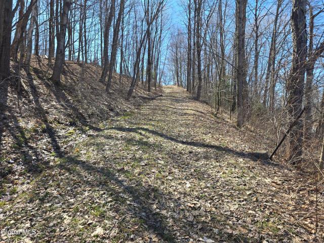 17052 Highway 22, Berlin, NY 12138 | MLS #202614 | Compass