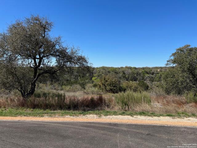 1705 Lake Ridge Blvd, Canyon Lake, TX 78133 | MLS #1838