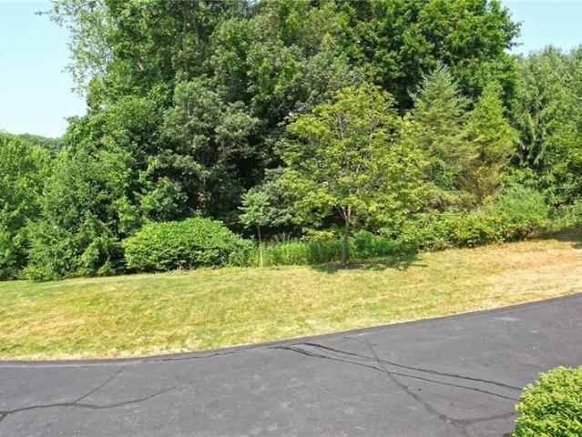 1705 Waterleaf Drive