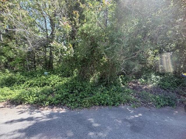 1705 Wind Sound Way Dr, Siler City, NC 27344