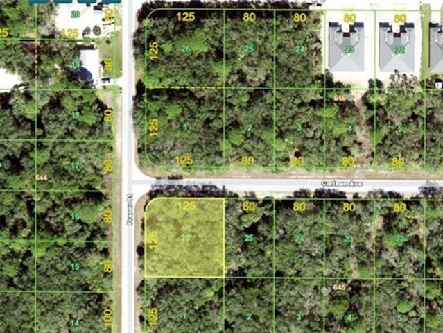 17073 Carleen Ave, Port Charlotte, FL 33948