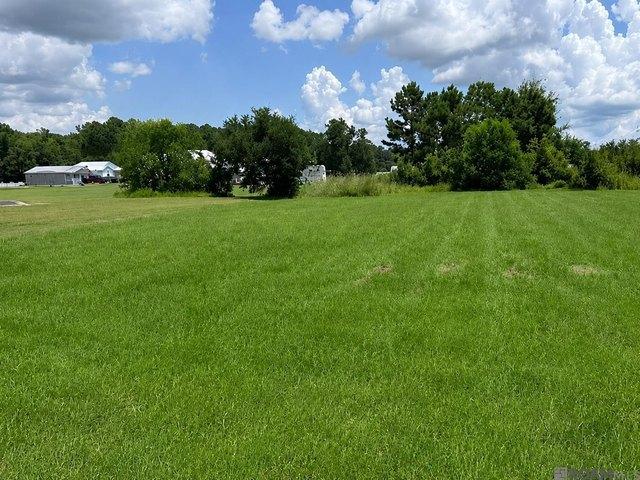 17070 Coles Creek Dr, Springfield, LA 70462